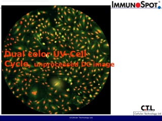 Elevating Elispot To An Exact Science | PPT