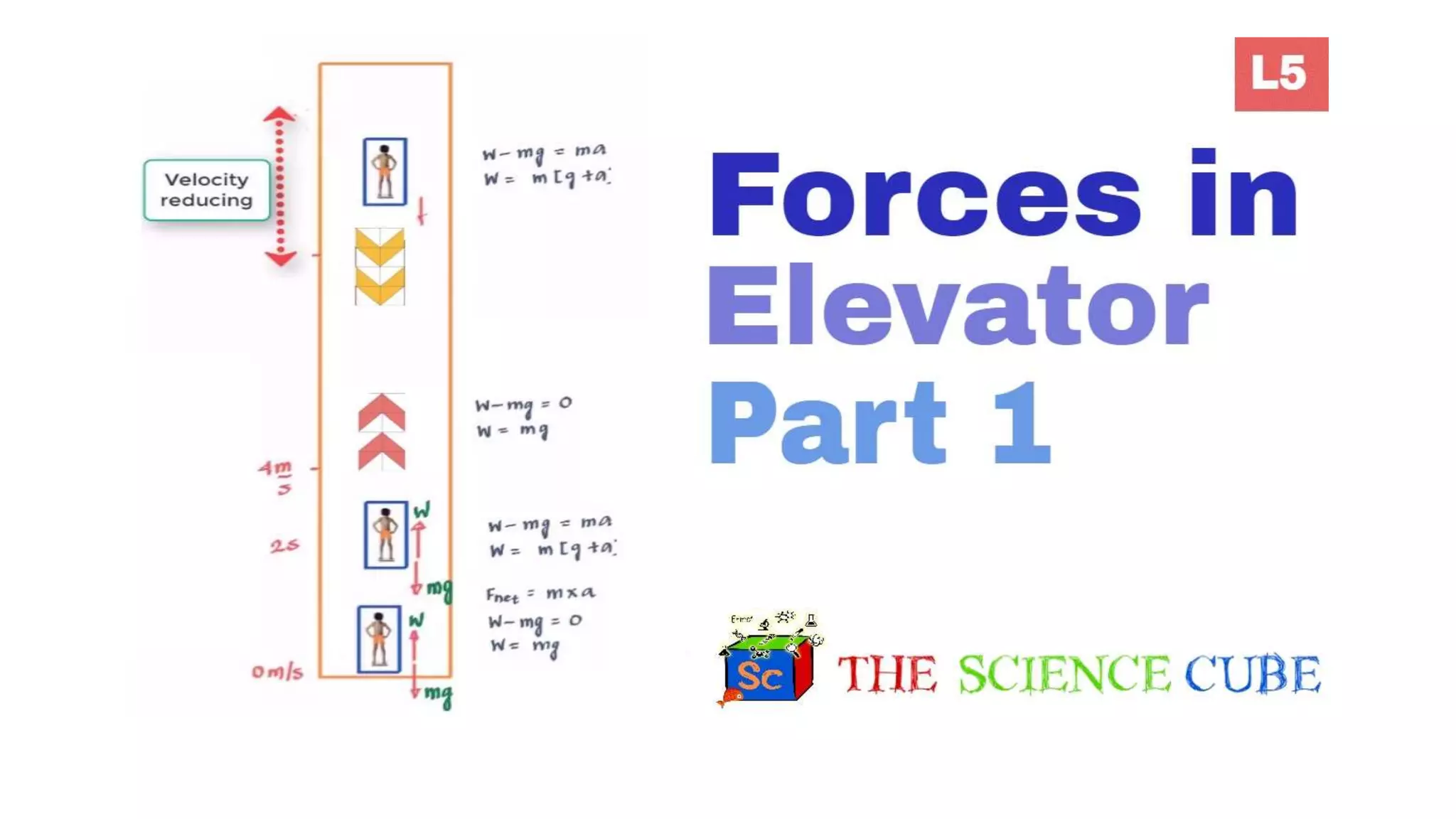 Do you lose or gain weight in an accelerating Elevator? Newton's Laws ...