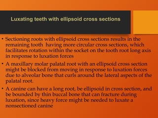 elevators in oral and maxillofacial surgery | PPTX