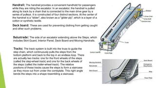Elevators and escalators | PPTX