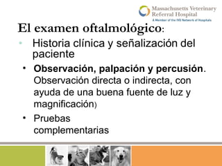 El examen oftalmologico santo domingo | PPT