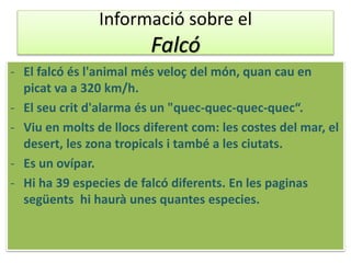 EL FALCÓ | PPTX
