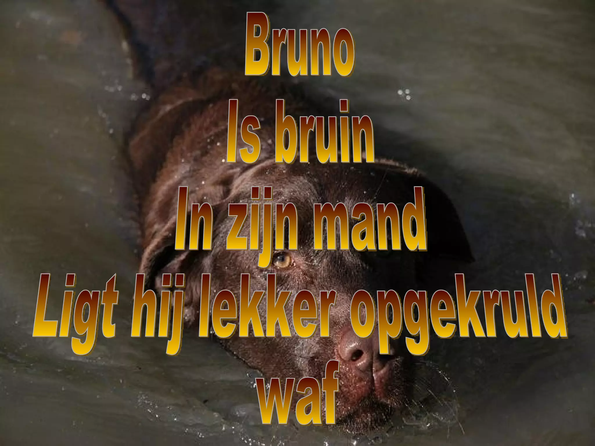 Elfje Opgemaakt | PPT