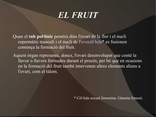 El fruit | PPT