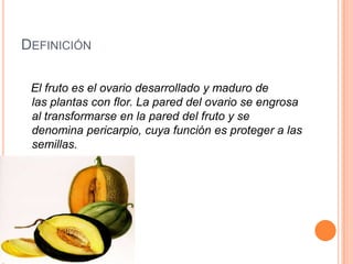 El fruto | PPTX
