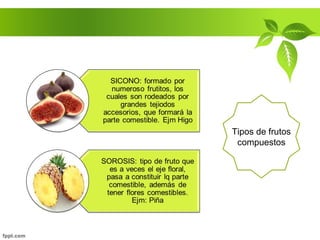 El fruto | PPT