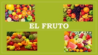 El fruto | PPTX