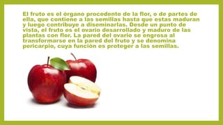 El fruto | PPTX
