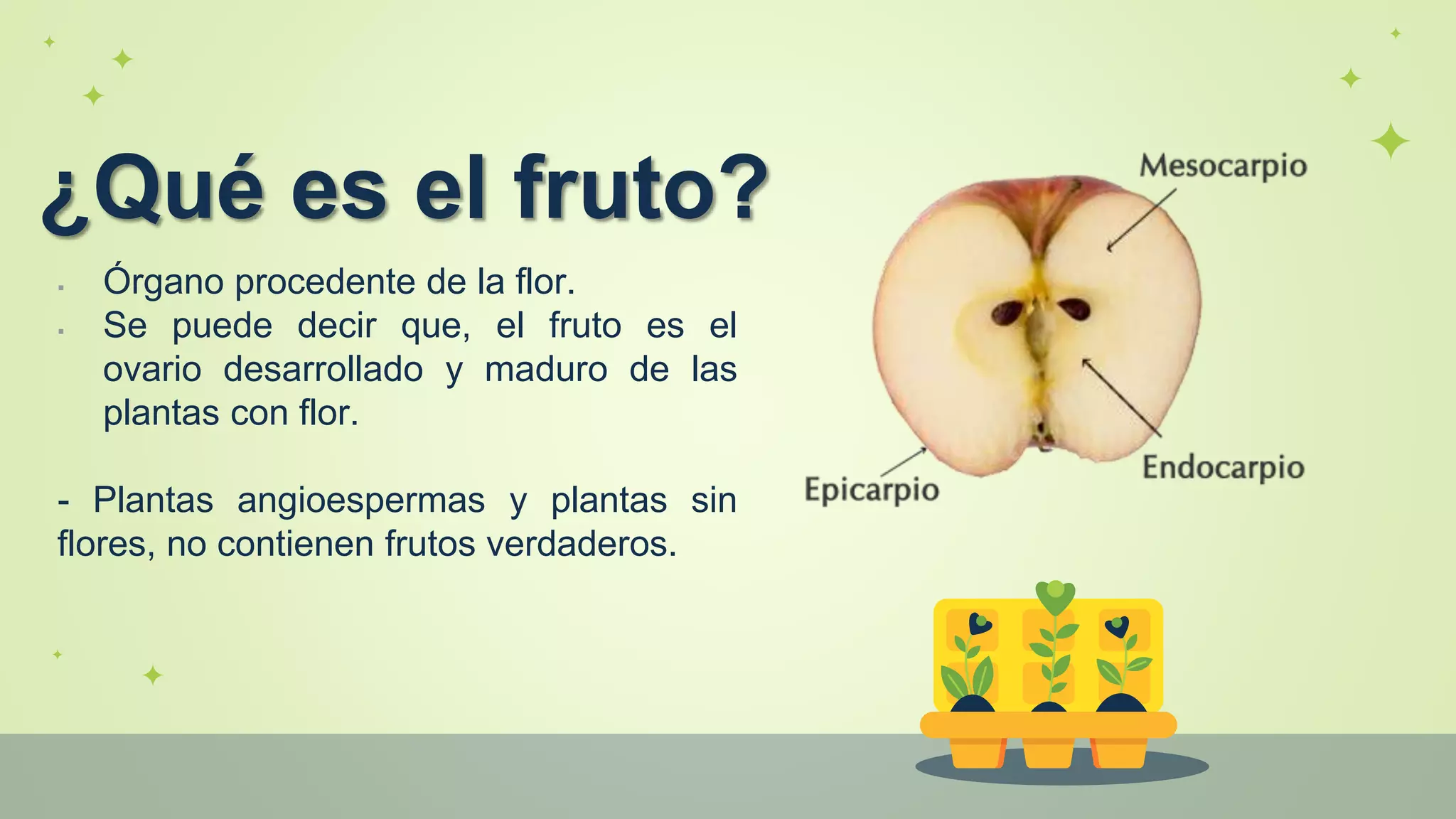 El fruto.pptx