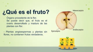 El fruto.pptx