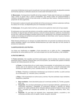 EL FRUTO.pdf