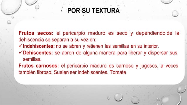 El fruto USC aprende acerca del fruto está es una guía sobre los frutos ...