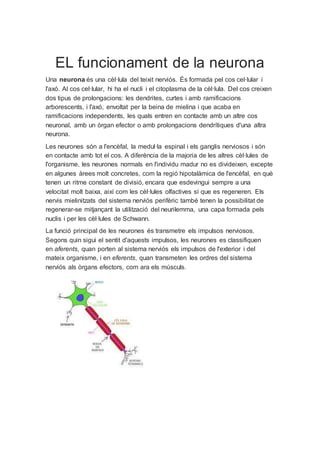 El funcionament de la neurona | DOCX