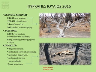 Οδηγίες Αντιπυρικής Προστασίας | PPT