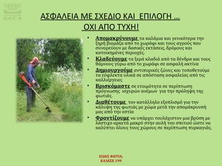 Οδηγίες Αντιπυρικής Προστασίας | PPT