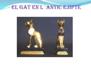 El gat | PPTX