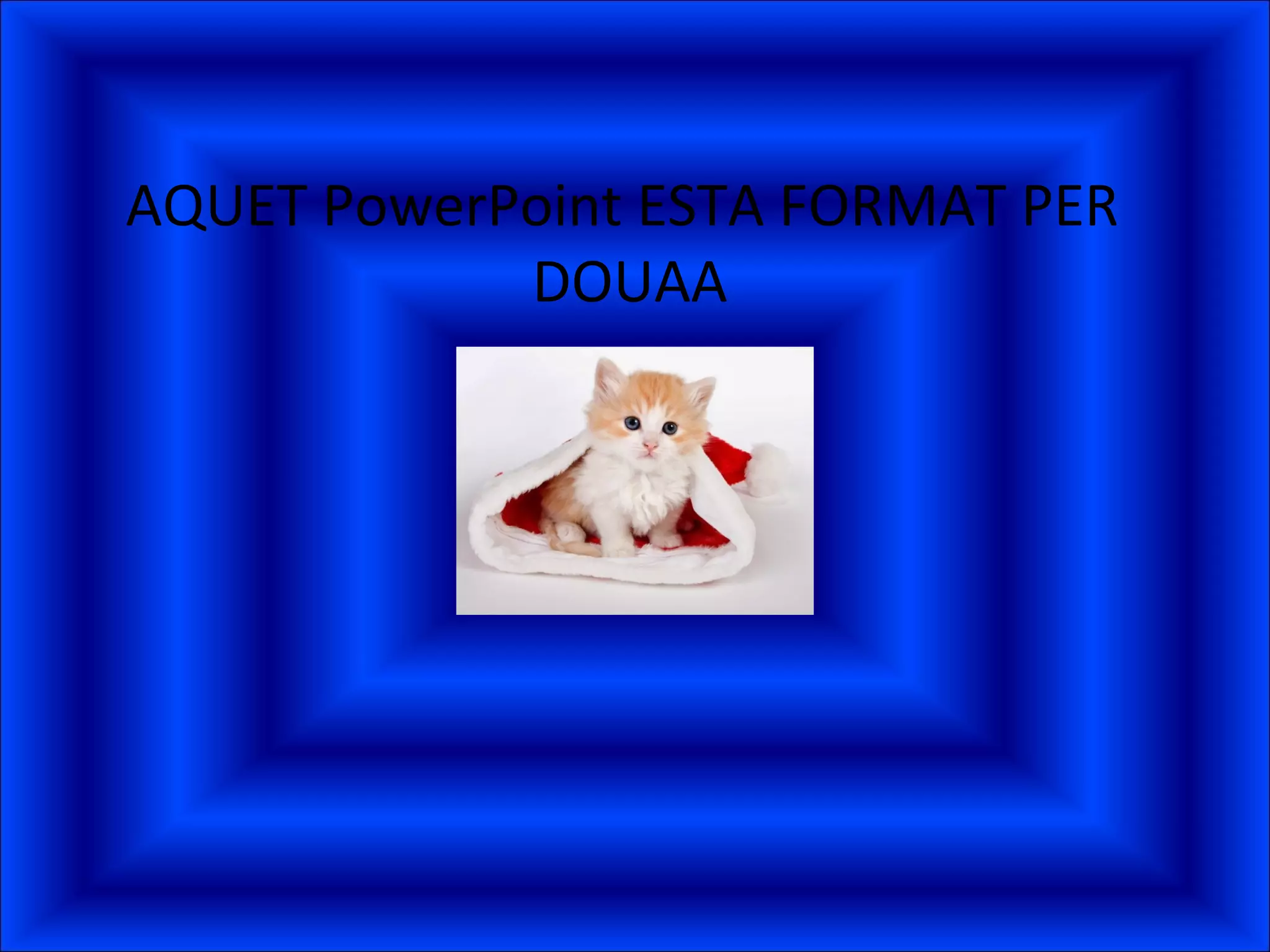 El gat | PPT