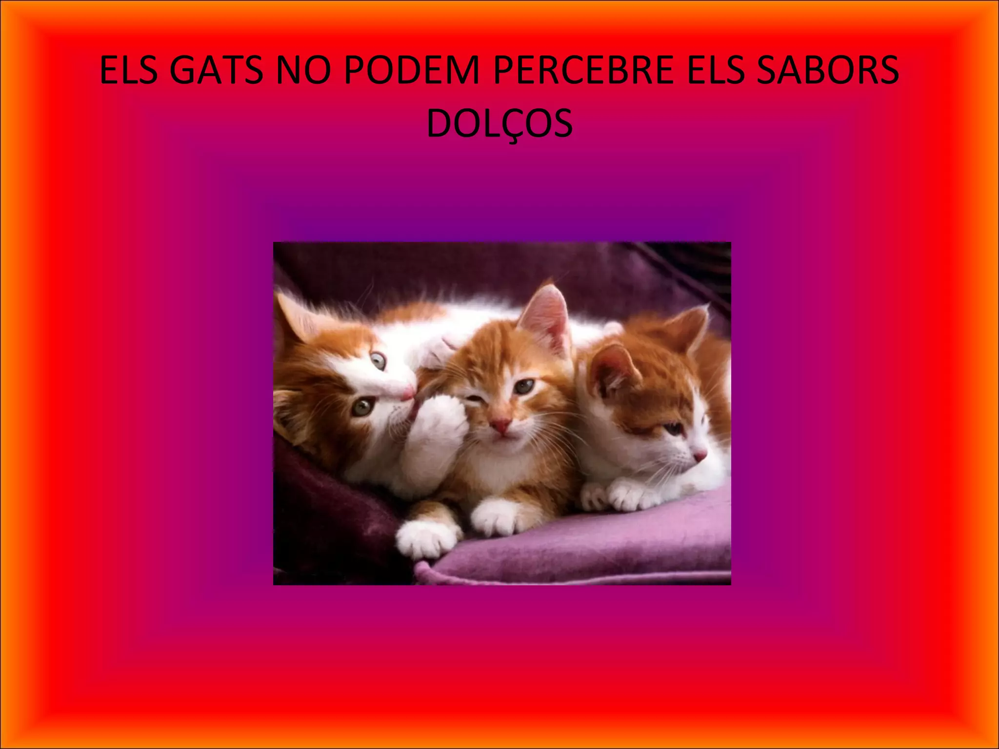 El gat | PPT | Free Download