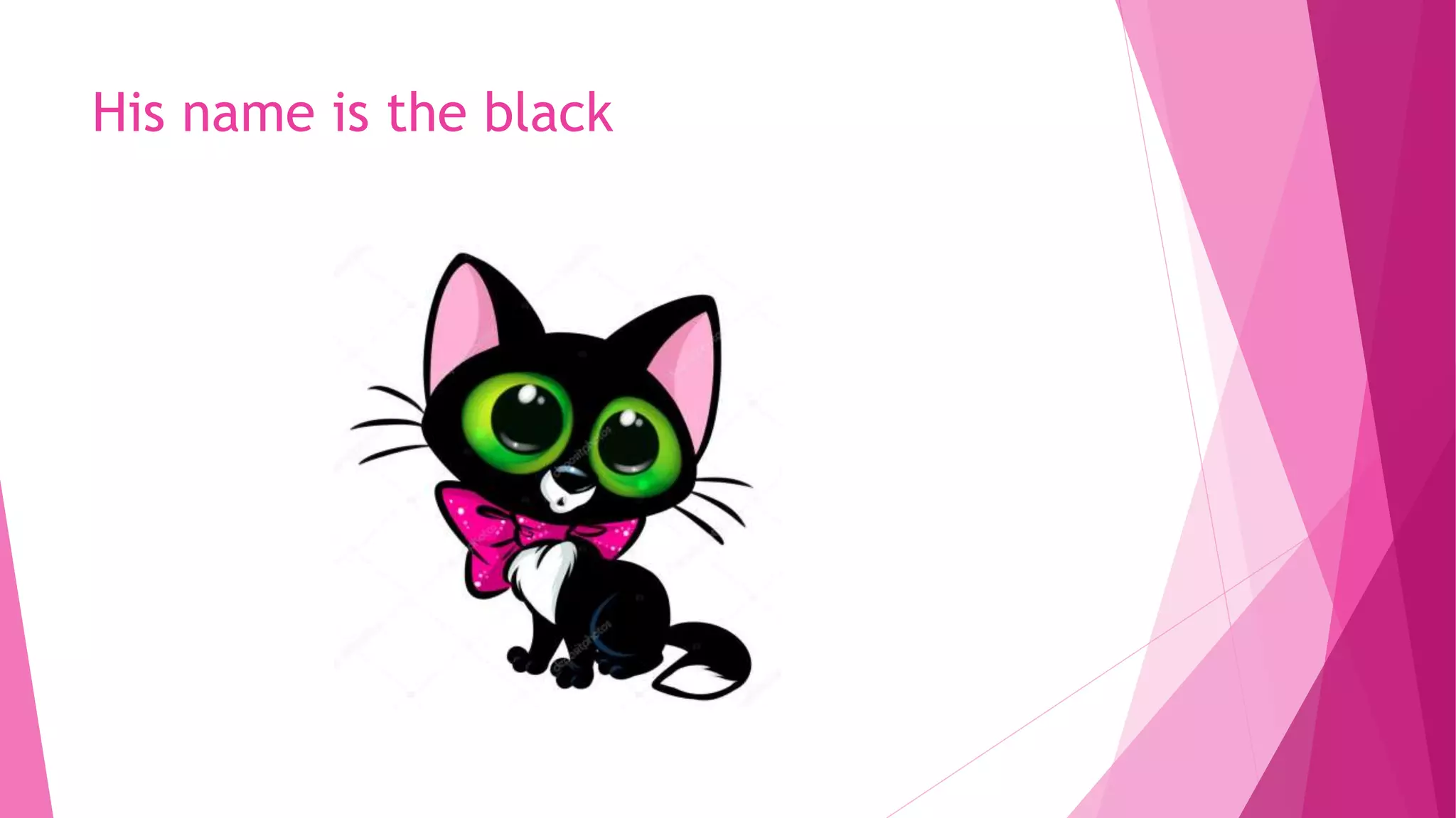 El gato de Paris de Milagros Rios Di Fonzo | PPT