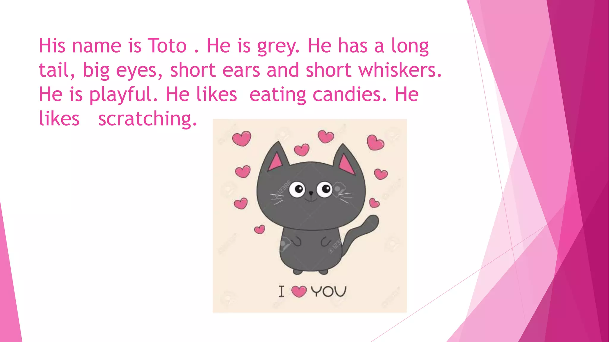 El gato de Paris de Milagros Rios Di Fonzo | PPT