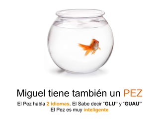 El gato y el pez | PPTX