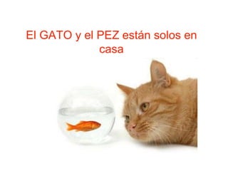 El gato y el pez | PPTX