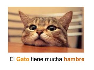 El gato y el pez | PPTX