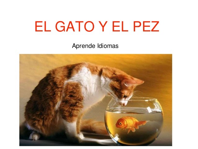 El gato y el pez sin palabras -2018