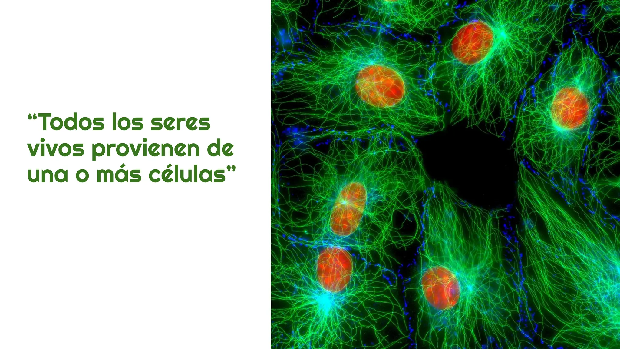 El gen y su estructura molecular_240303_093144 (1).pdf