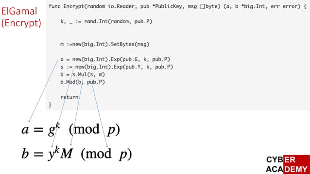 ElGamal Encryption in Go | PPTX | Technology & Computing