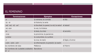 El género en el español.pptx