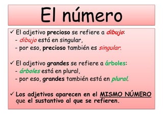 El género y número de los adjetivos | PPTX
