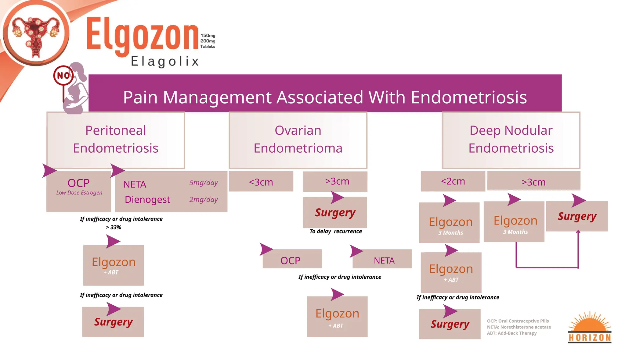 Elgozon-elagolix Doctor Presentation (1).pptx