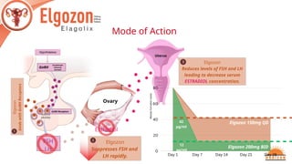 Elgozon-elagolix Doctor Presentation (1).pptx