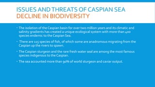 Caspian Sea & Environmental issues by Elgun Hasanli | PPTX