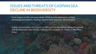 Caspian Sea & Environmental issues by Elgun Hasanli | PPTX