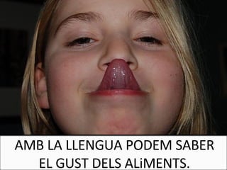 El Gust | PPT