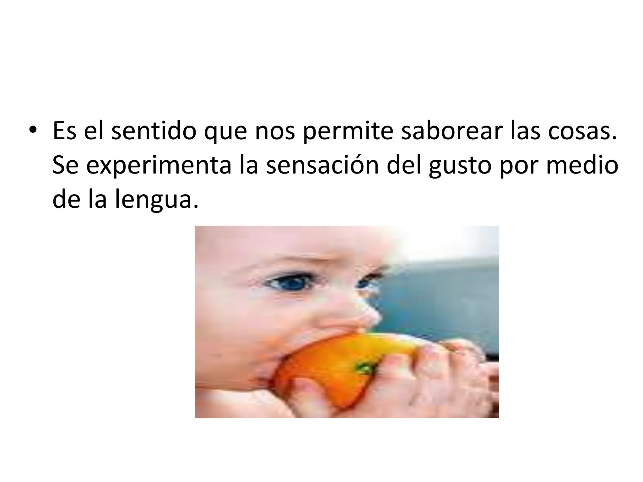 El gusto en la anatomia.pdf
