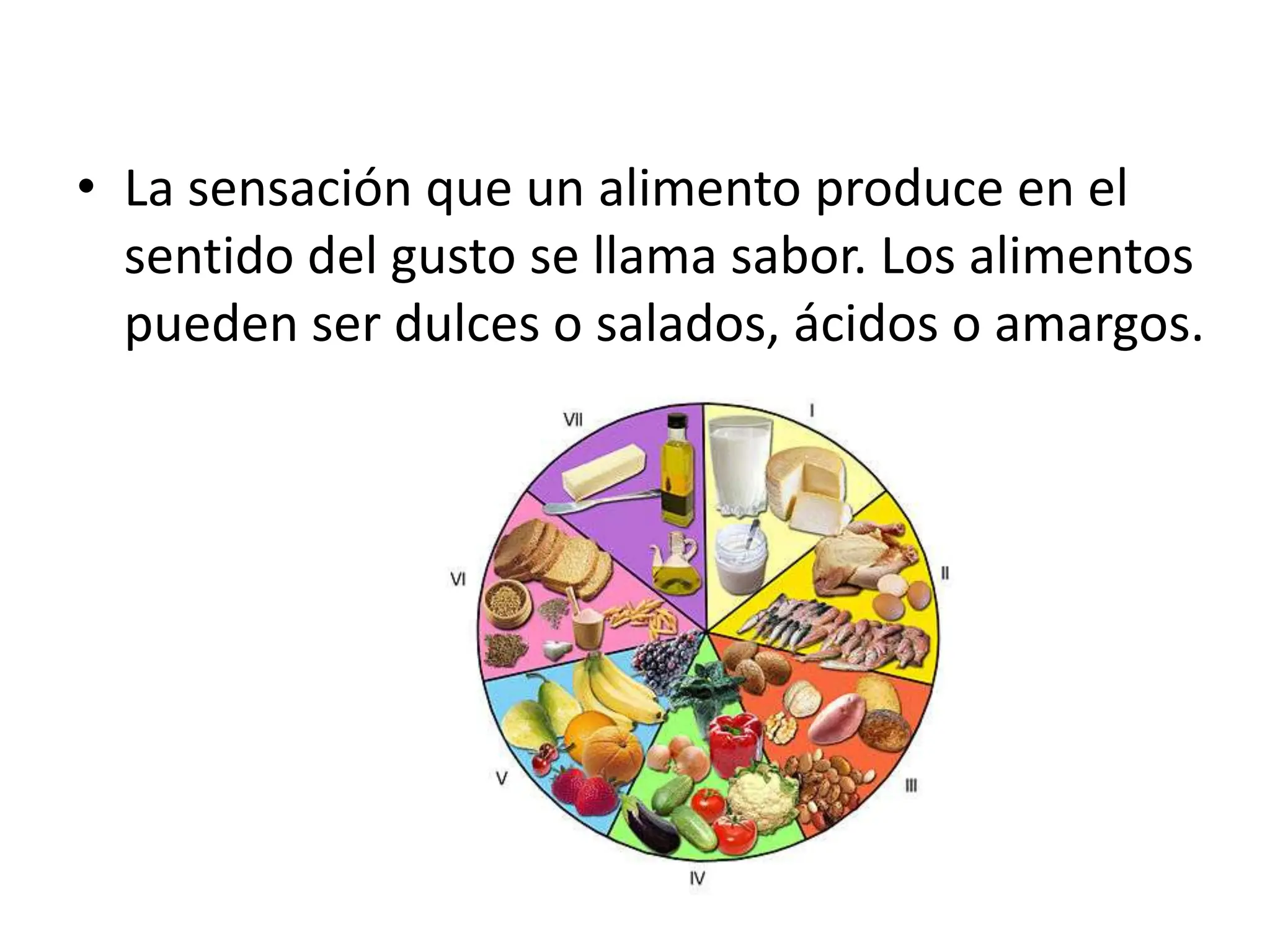 El gusto en la anatomia.pdf