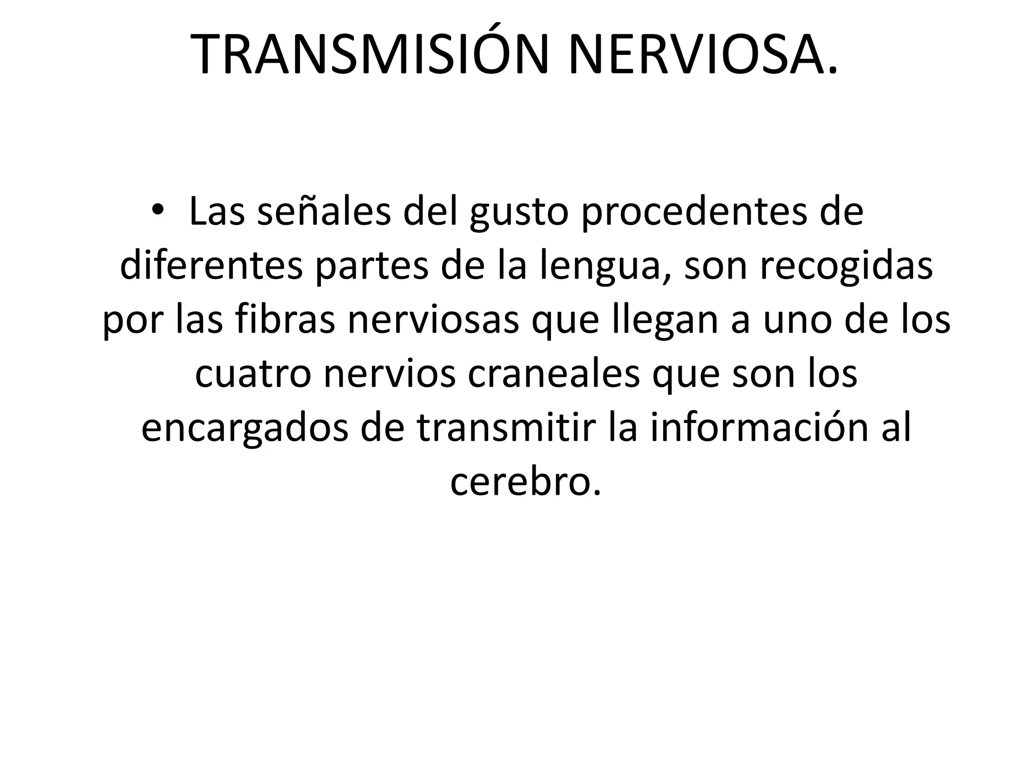 El gusto en la anatomia.pdf