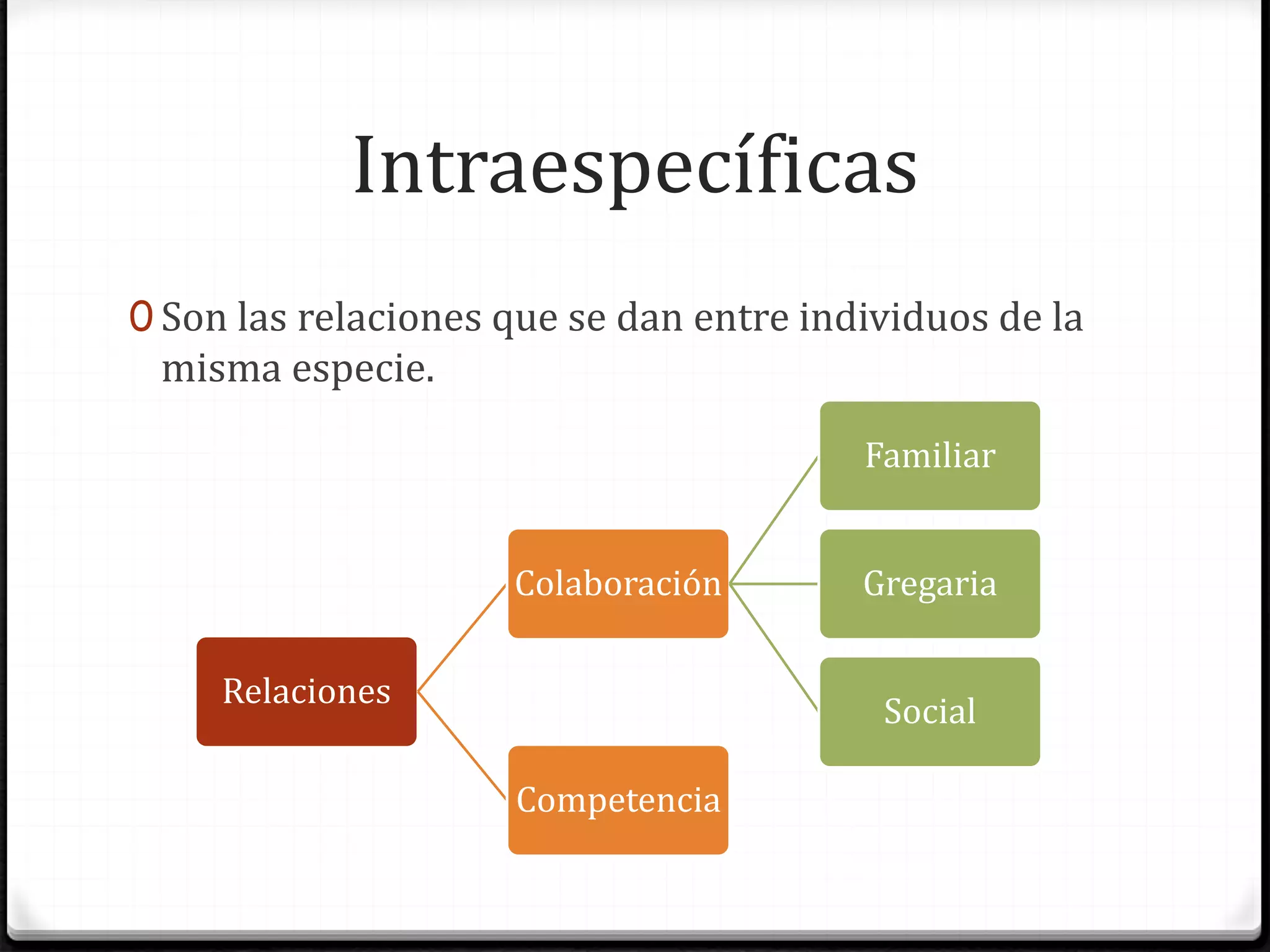 Interacciones en el ecosistema y sus representaciones | PPTX ...