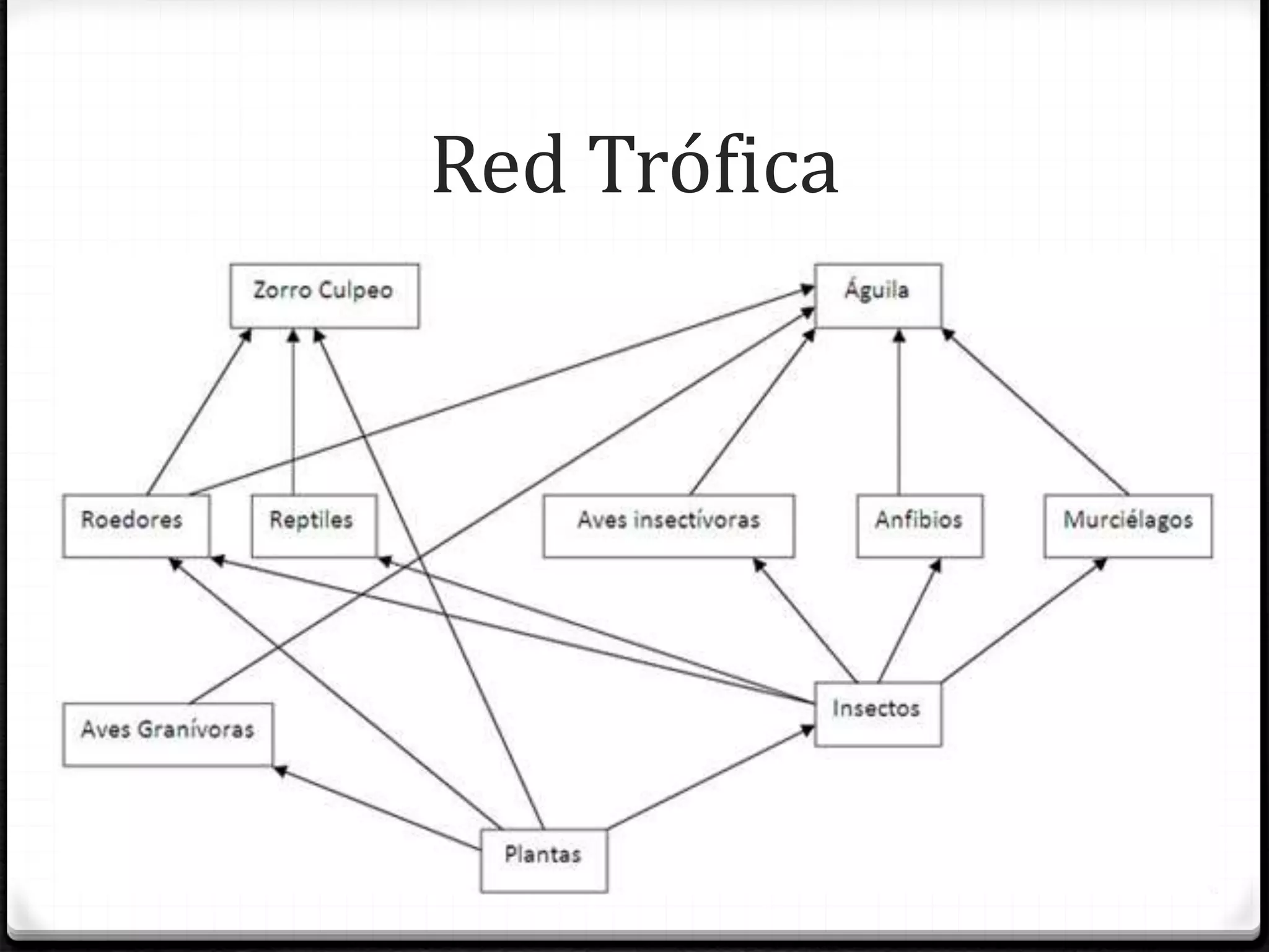 Interacciones en el ecosistema y sus representaciones | PPTX ...