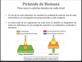 Interacciones en el ecosistema y sus representaciones | PPTX
