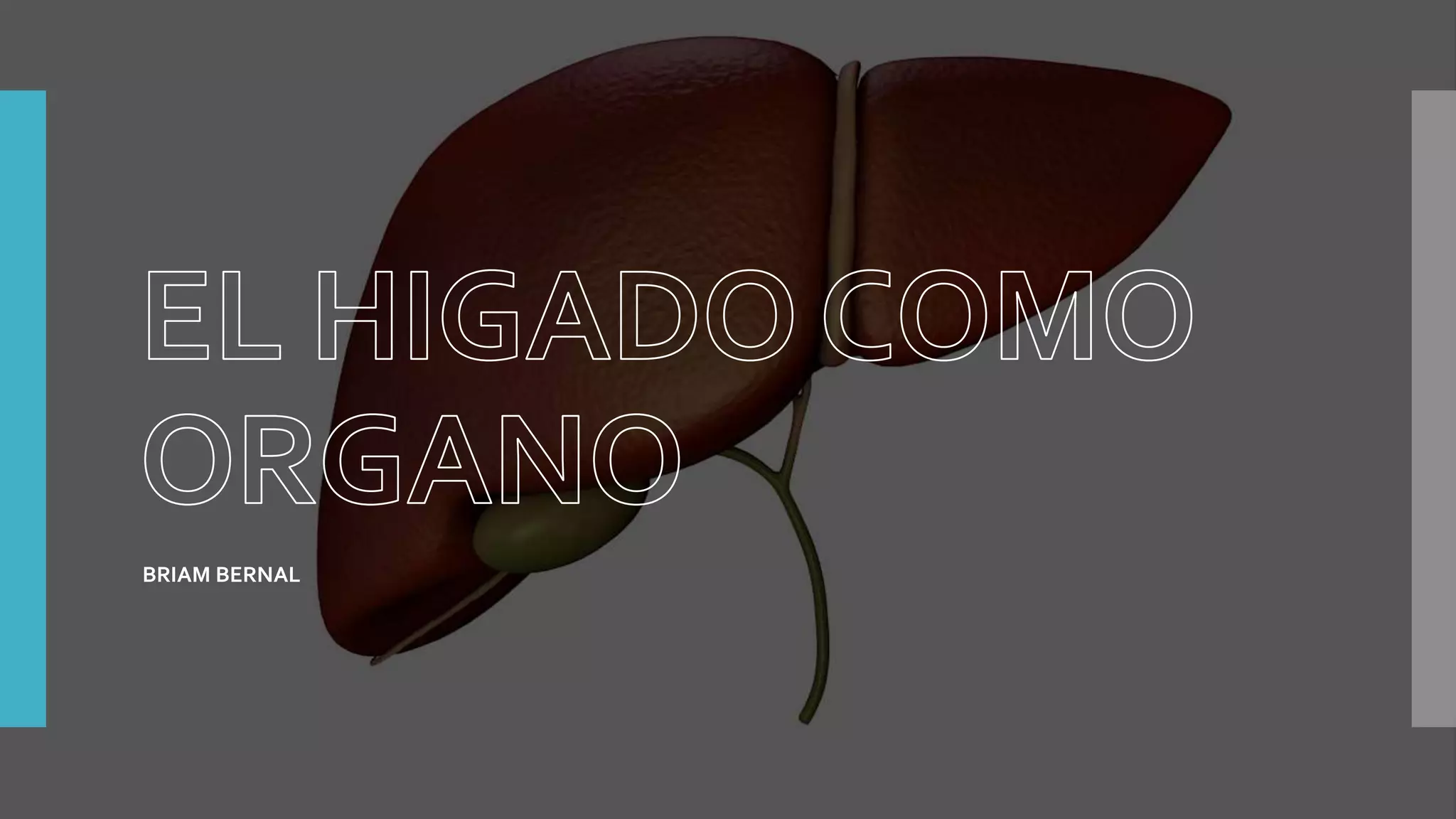 El higado como organo fisiologia ii | PPTX
