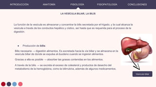 El hígado y la vesícula biliar.pptx