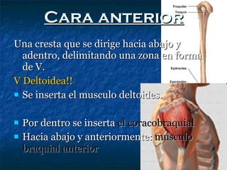 El Humero | PPT