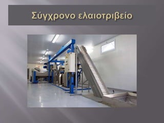 Τρόποι συγκομιδής της ελιάς και παραγωγή ελαιόλαδου | PPT