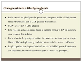 Metabolismo del Glucógeno y Disacaridos | PPTX