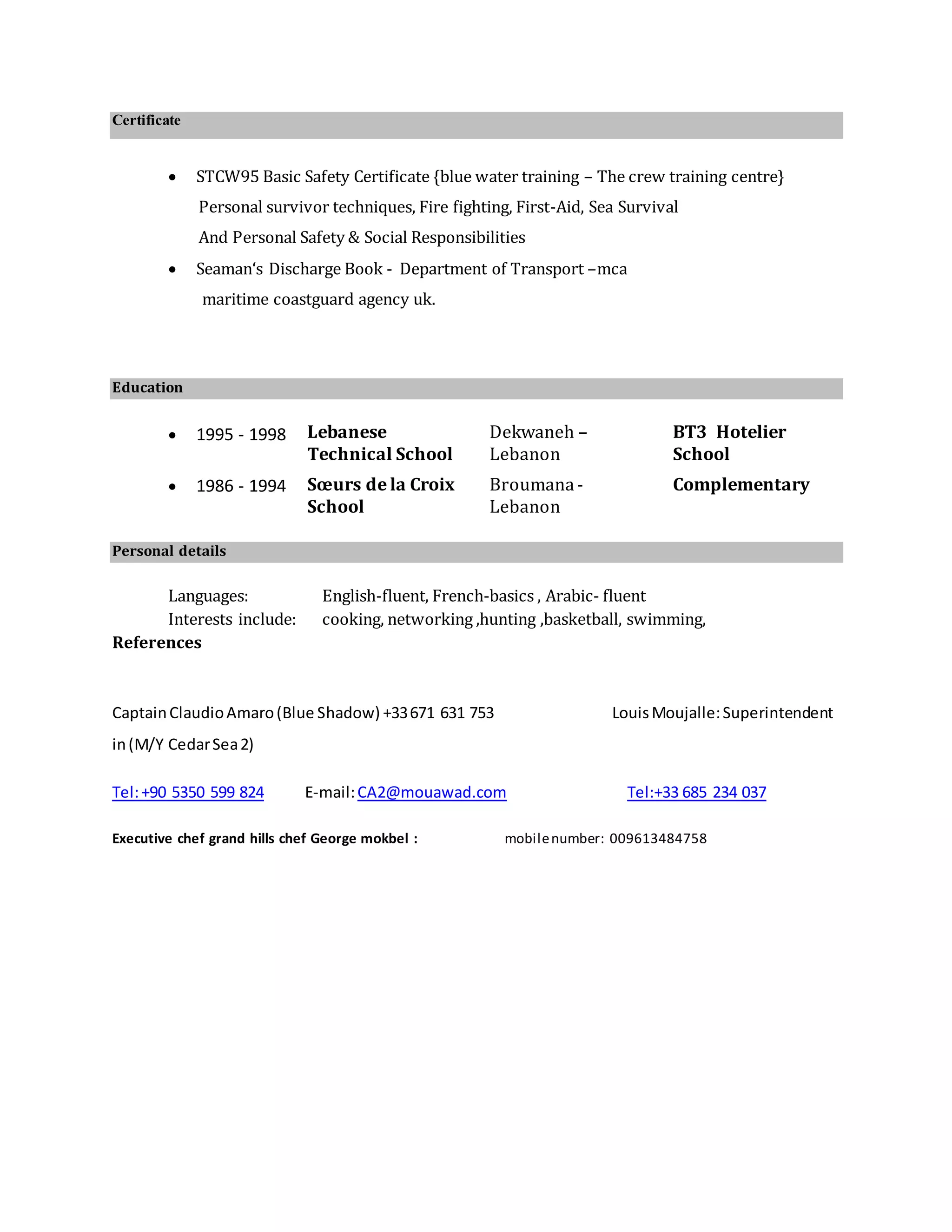 Elias youssef cv 3 copy | DOCX