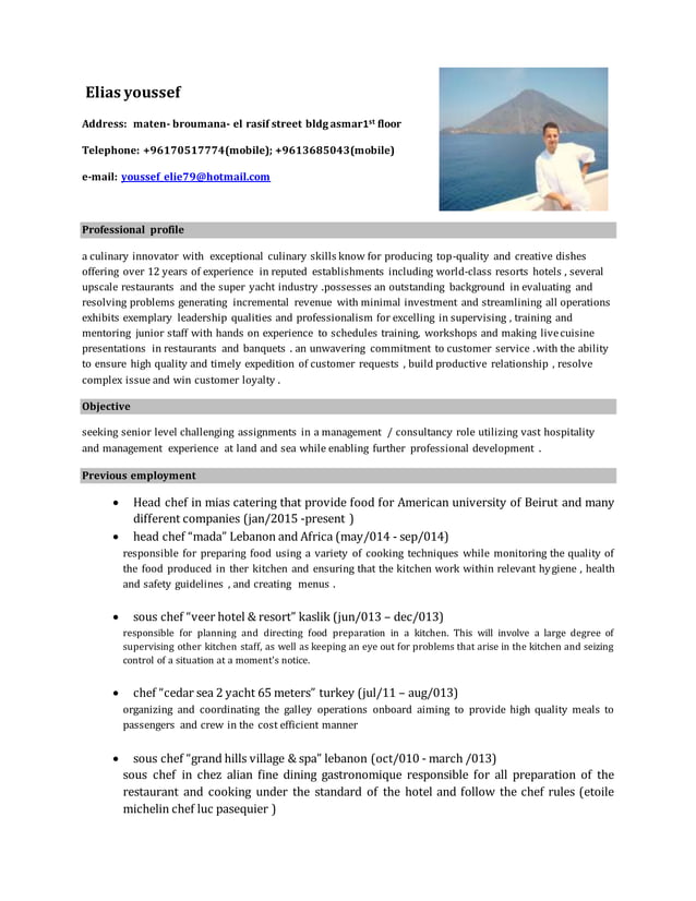 Elias youssef cv 3 copy | PDF